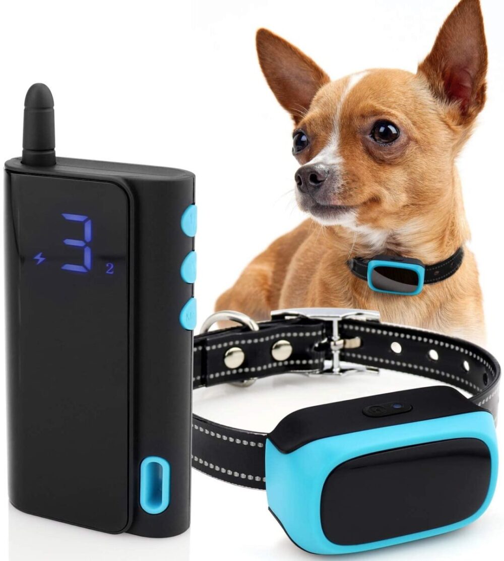 Things To Know Before Buying A Shock Collar? - Jaxtr