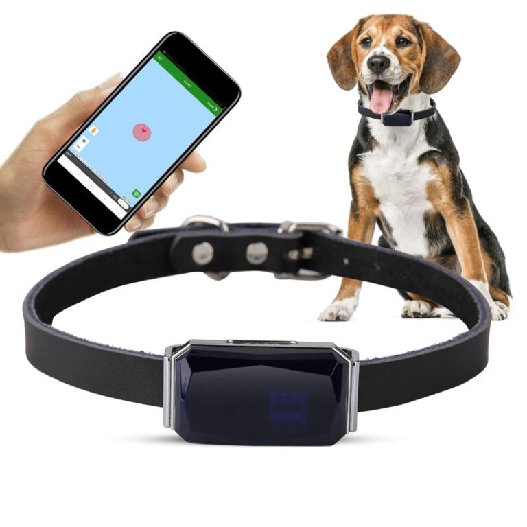 Smart Dog Gadgets To Make Your Dog Safe And Happy - Jaxtr